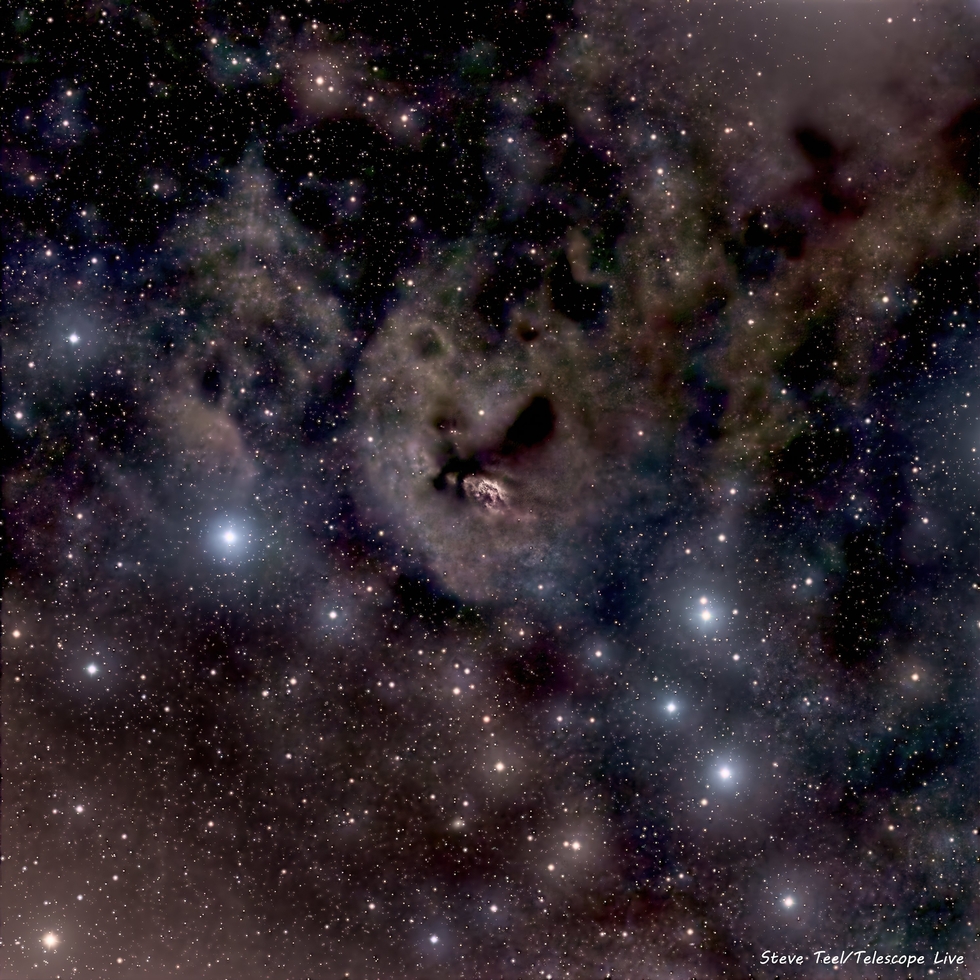 Sh2-239 | Telescope Live